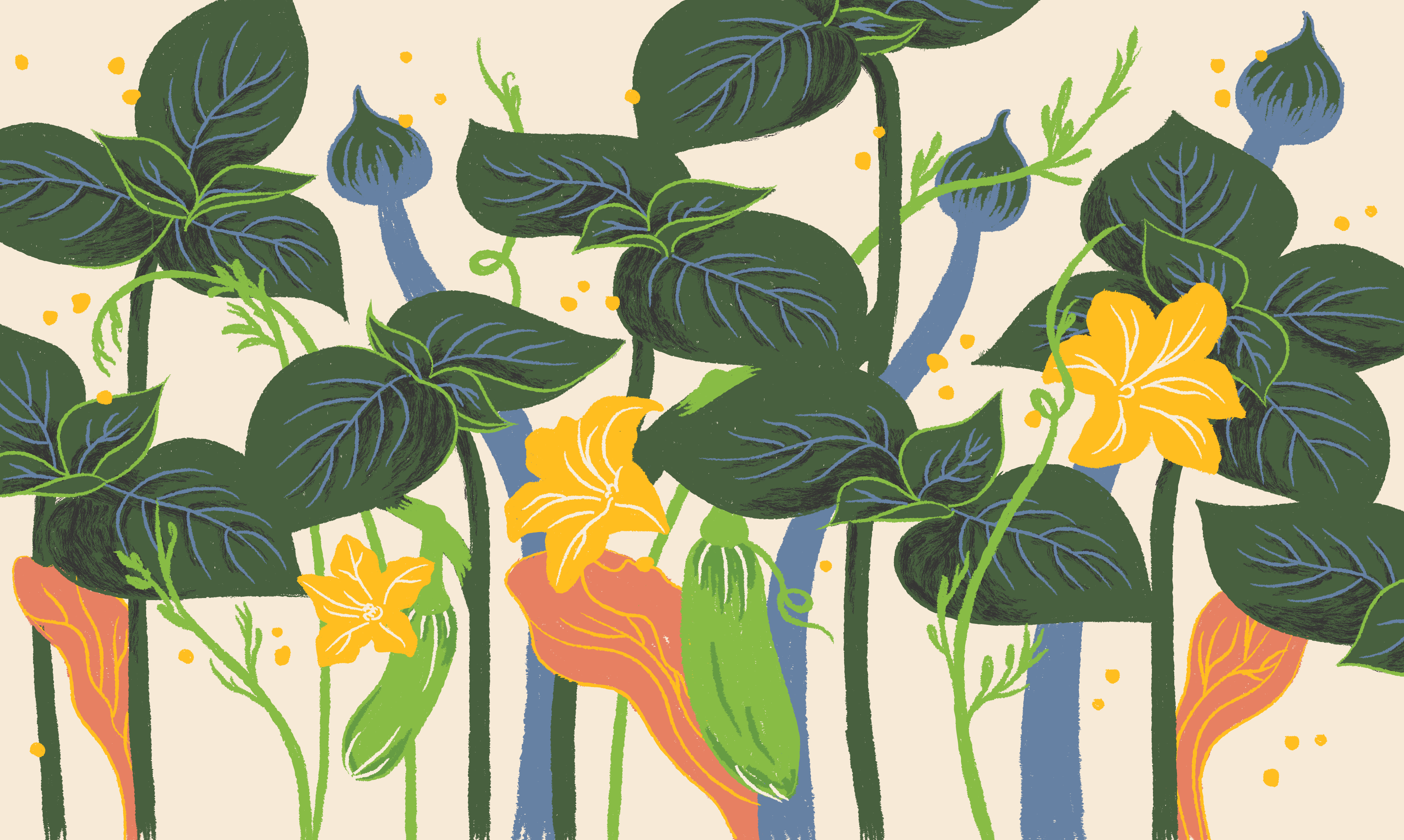 Illustrations for Choa – Lee Mirae